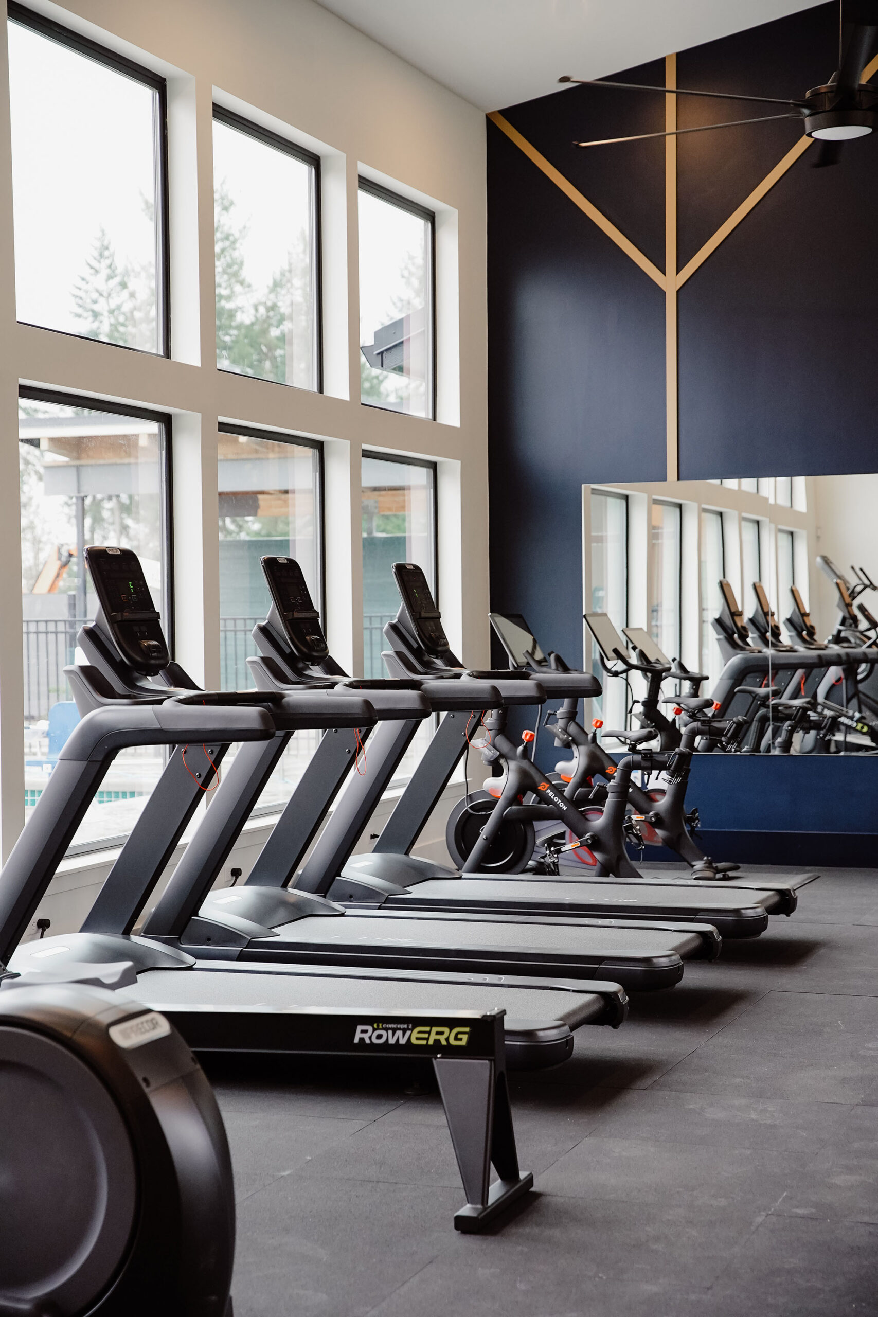 The Tilden Apartments - Tarragon Tarragon